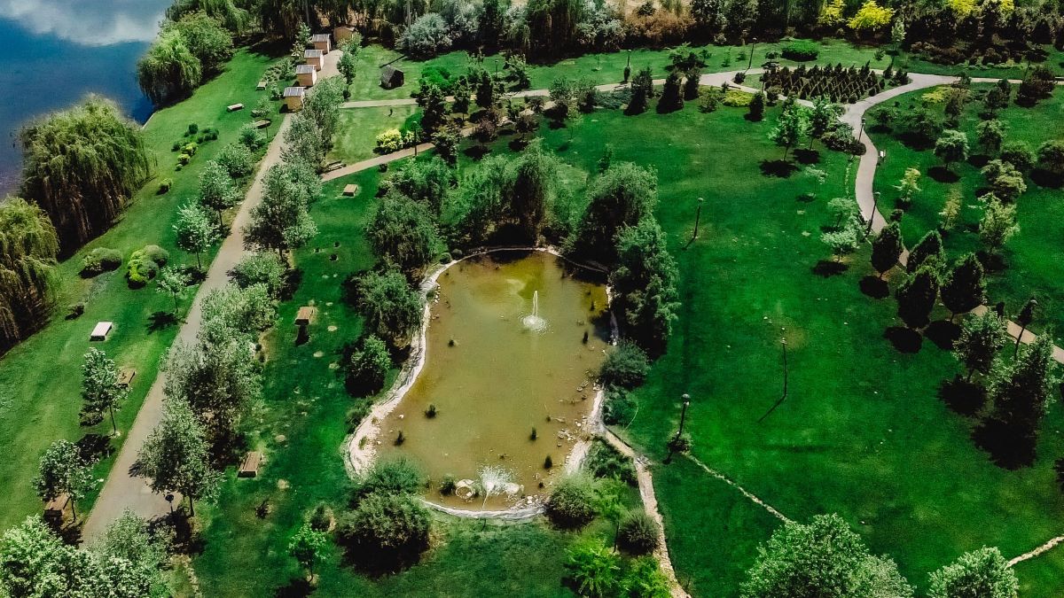 Locuri de grătar și picnic în Bucureşti și în apropiere - Restograf