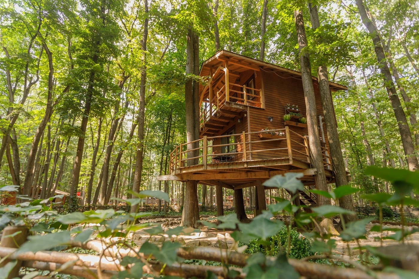 Căsuțe în copac. O idee inedită, ca să nu rămâi... în pom cu ieșirile ...