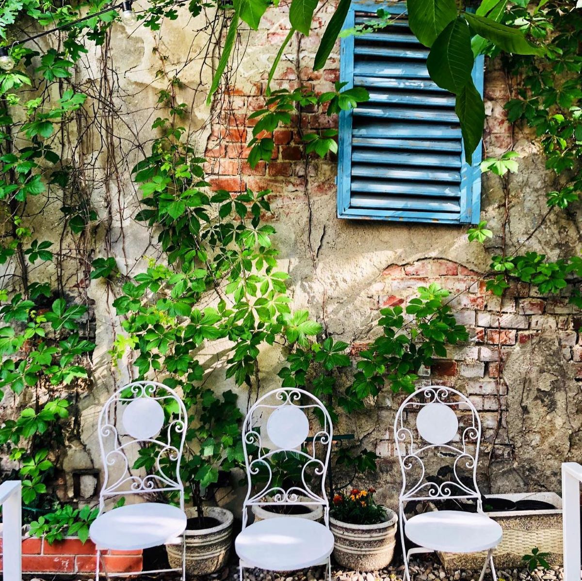 Grădini ascunse din Bucureşti, de un farmec aparte - Restograf