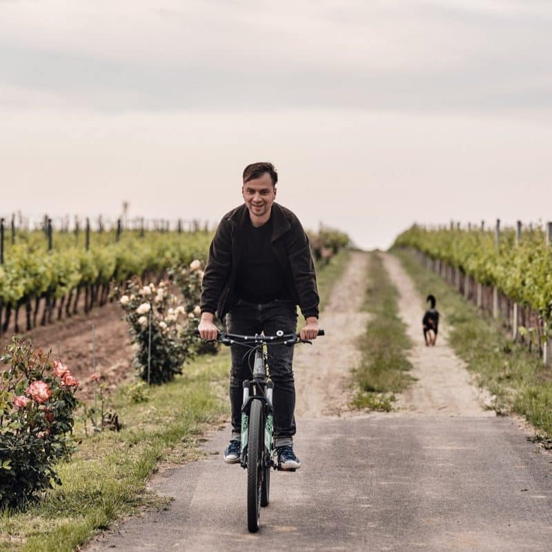 Cele mai frumoase crame din România care organizează degustări de vin ...