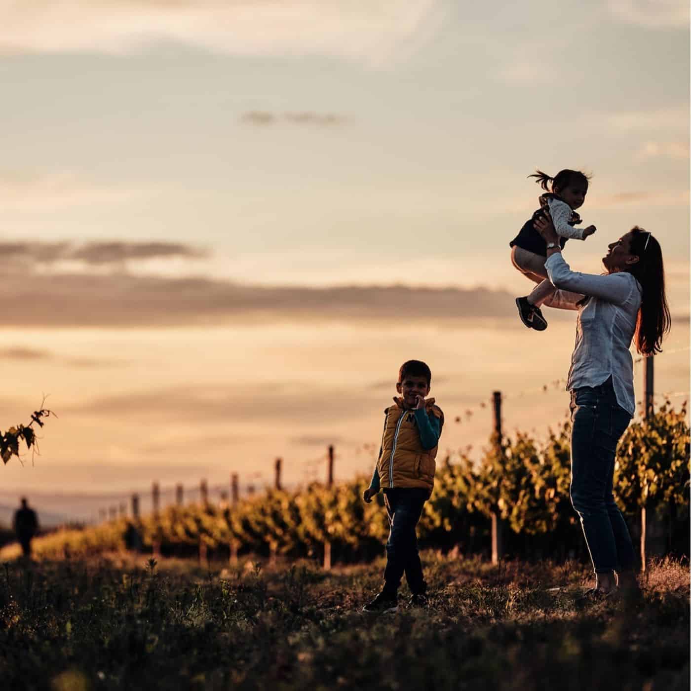 Cele mai frumoase crame din România care organizează degustări de vin ...