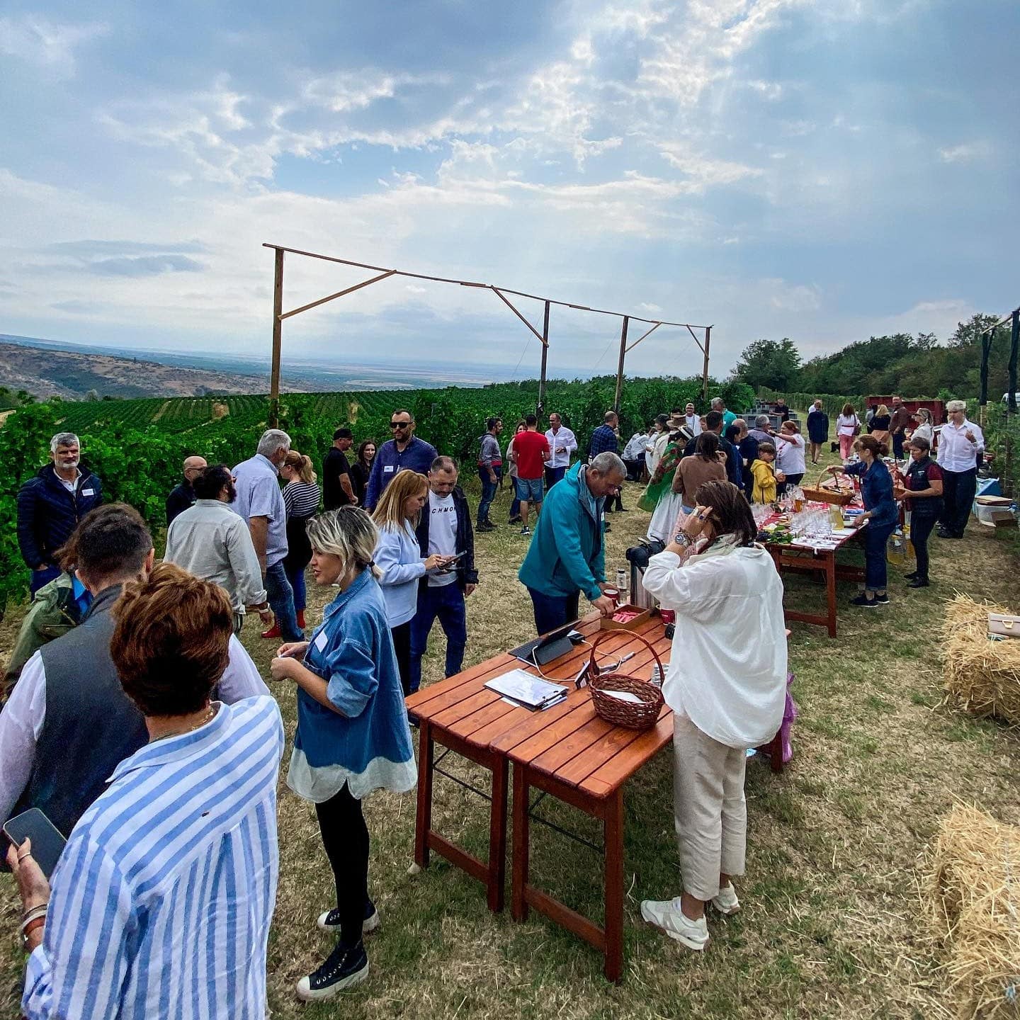 Cele mai frumoase crame din România care organizează degustări de vin ...