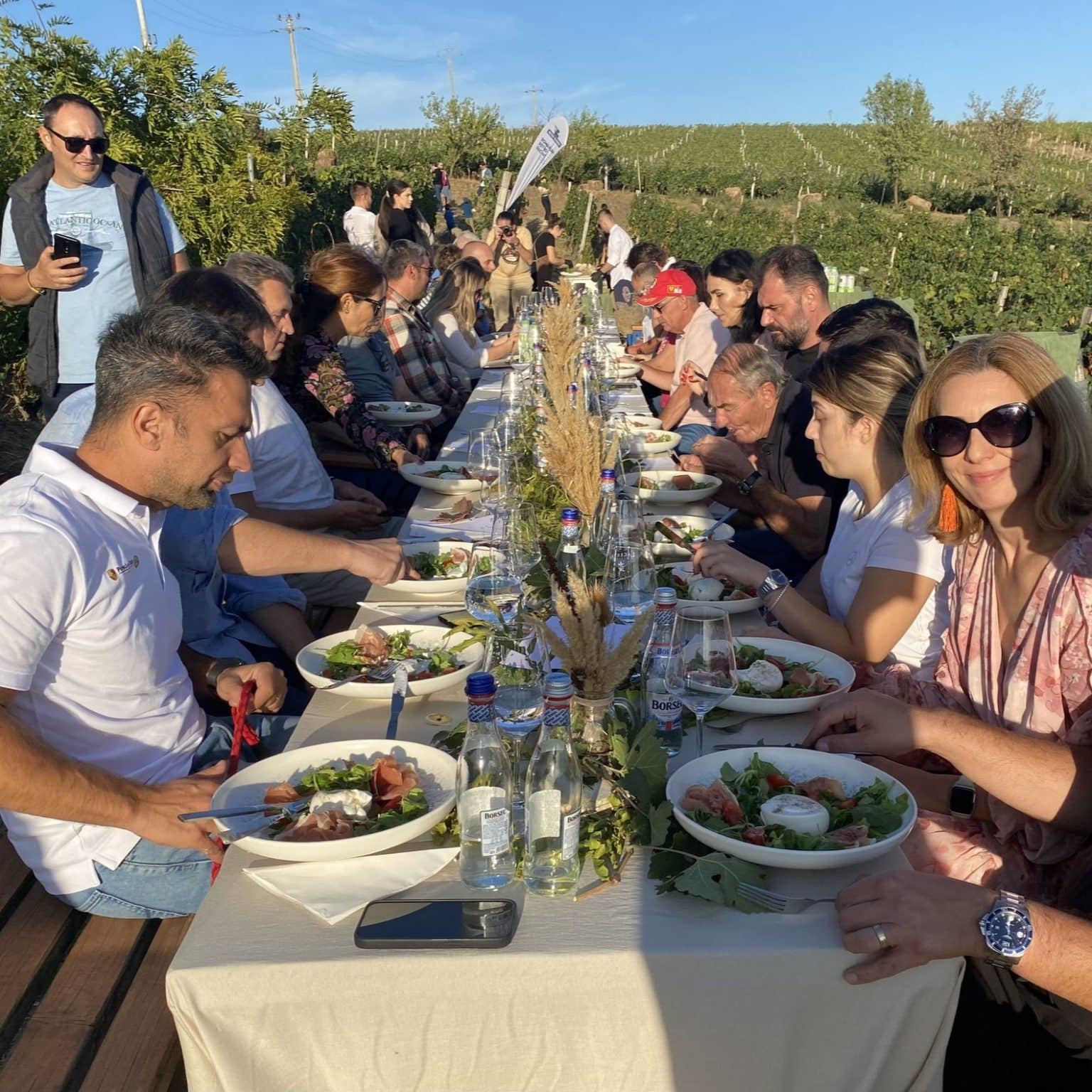 Cele mai frumoase crame din România care organizează degustări de vin ...