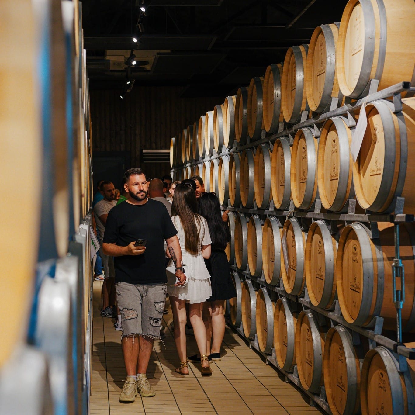Cele mai frumoase crame din România care organizează degustări de vin ...