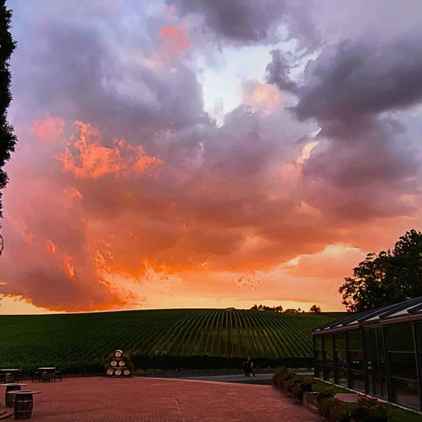 Cele mai frumoase crame din România care organizează degustări de vin ...