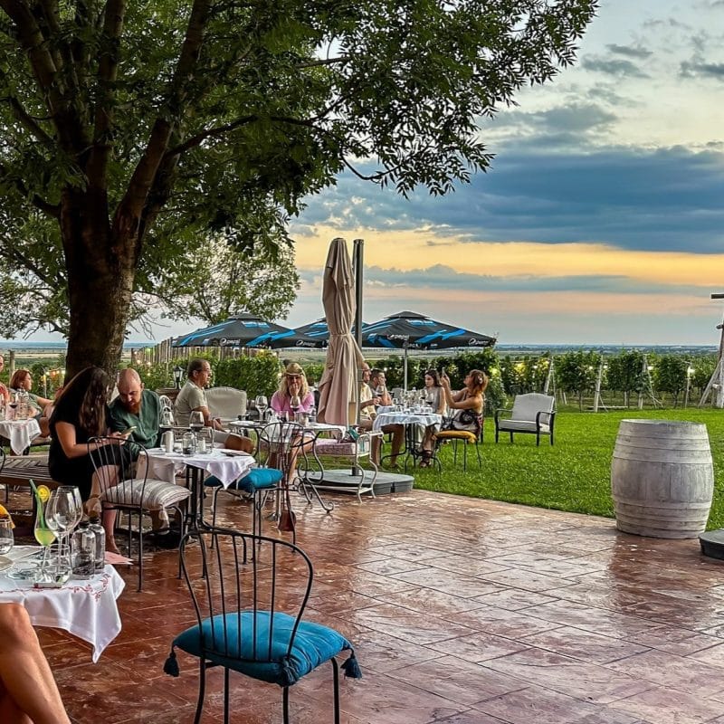 Cele mai frumoase crame din România care organizează degustări de vin ...
