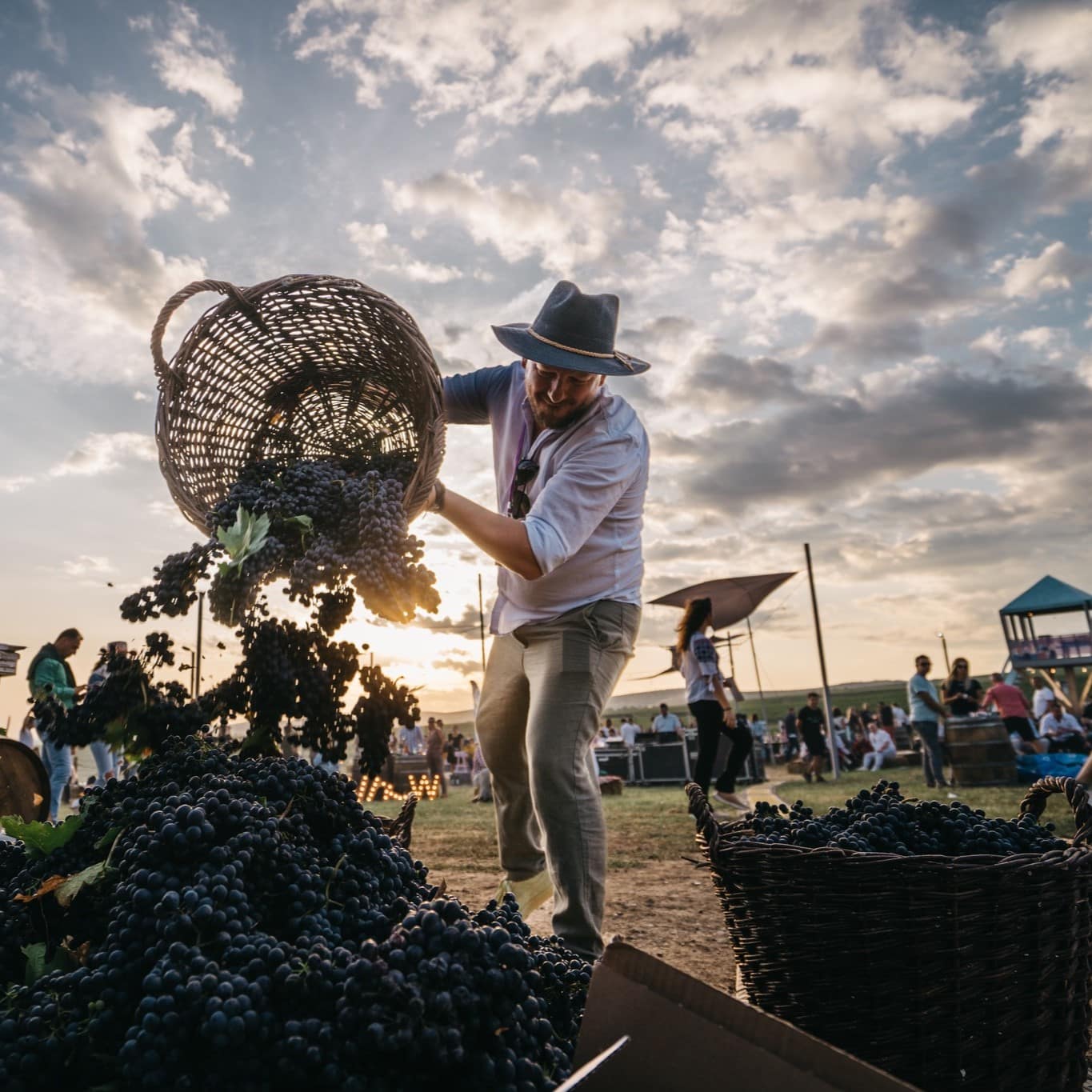 Cele mai frumoase crame din România care organizează degustări de vin ...