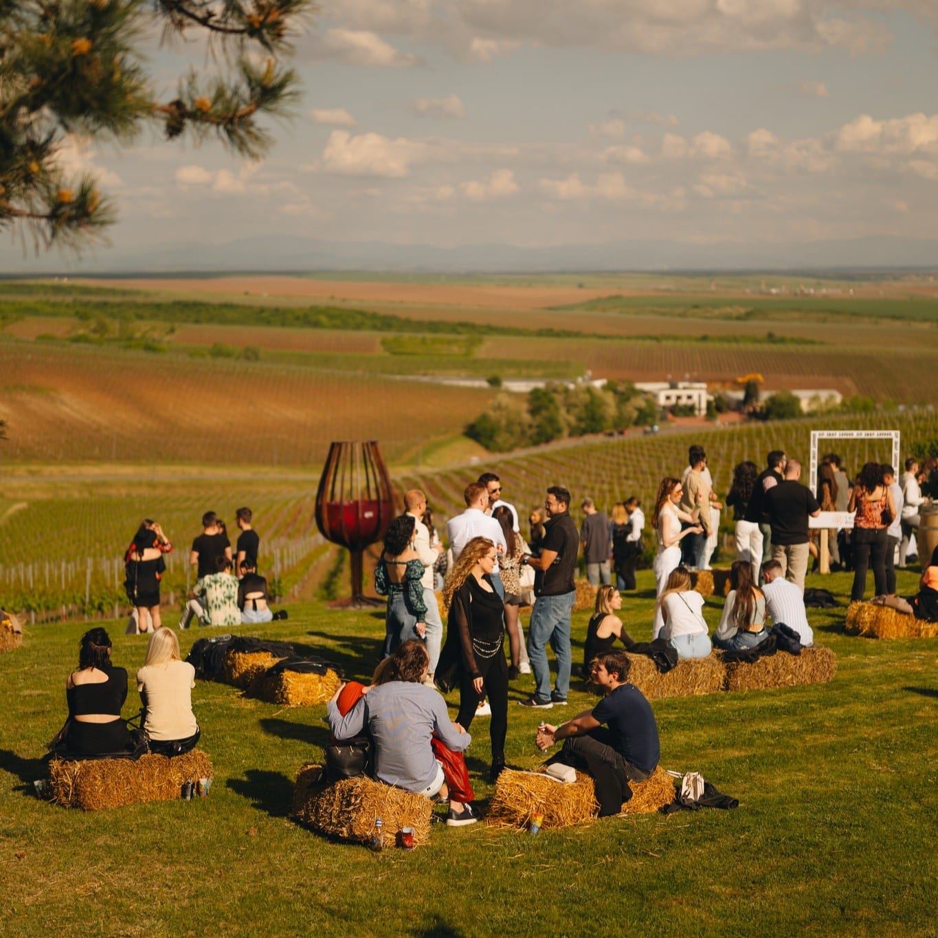 Cele mai frumoase crame din România care organizează degustări de vin ...