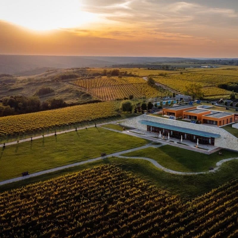 Cele mai frumoase crame din România care organizează degustări de vin ...