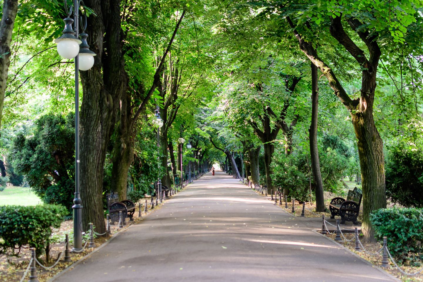 Obiective turistice Bucuresti - Locuri de vizitat in Bucuresti | Restograf