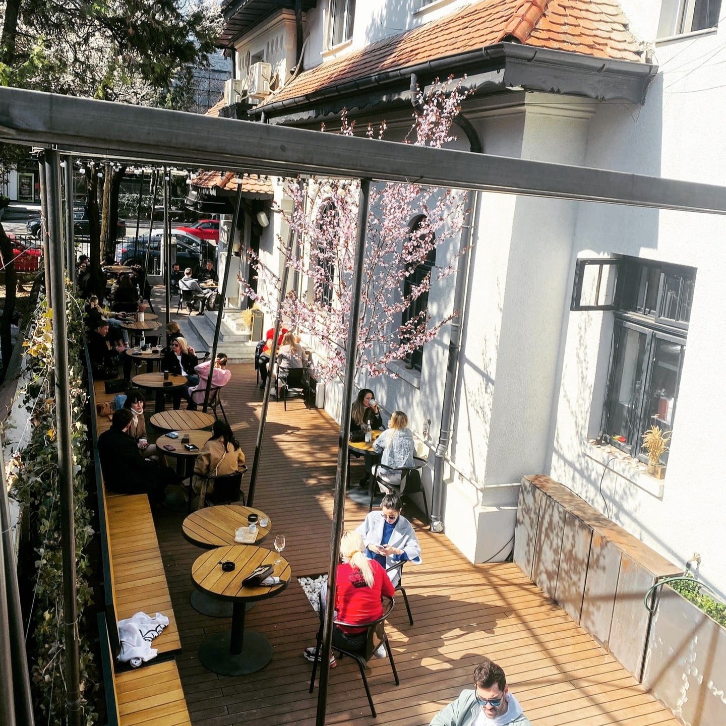 Cele mai populare restaurante din Floreasca, de la casual la fine ...